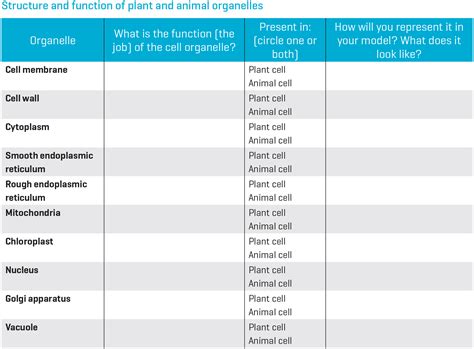Making As A Performance Task Nsta