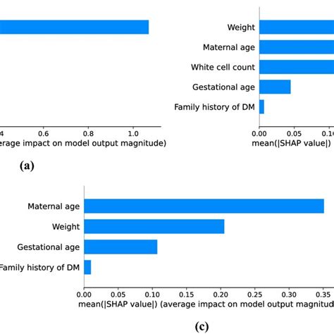 global feature importance based on mean absolute shap value for a