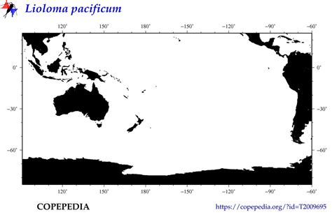 Copepedia Summary For Lioloma Pacificum T2009695 Species