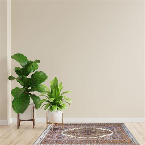 فرش دست بافت ابریشمی تبریز کارپتن راگز