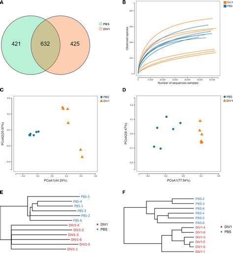 Derived Pls Da Score Plots And Corresponding Permutation Testing Of