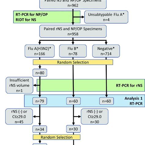 Flow Diagram Showing Selection Of Specimens For Testing And Comparison Download Scientific