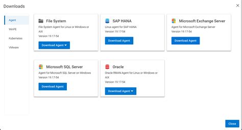 Data Manager Appliance Application Agents Dell Powerprotect Data
