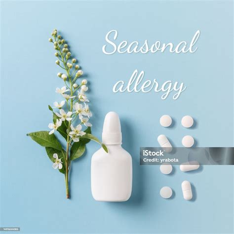 계절성 봄 알레르기 꽃이 있는 봄 나뭇가지 나무 비강 스프레이 병 파란색 배경에 항히스타민제 알약 개화에 대한 알레르기 개념 텍스트 계절성 알레르기 0명에 대한 스톡 사진