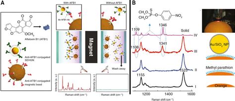 small molecule detection has various approaches a ko uses a two part