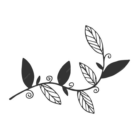 Ramo Desenhado à Mão Com Folhas Isoladas No Fundo Branco Ilustração De