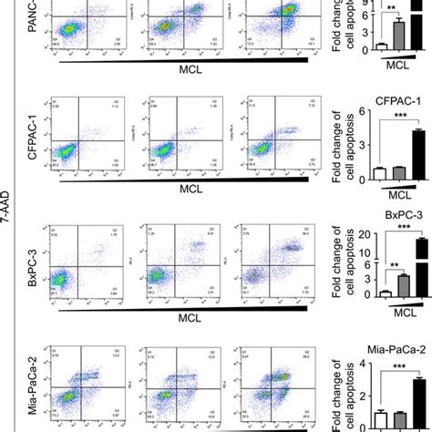 Mcl Induced A Decrease In Mmp And Ros Generation In Pdac Cells A Flow Download Scientific