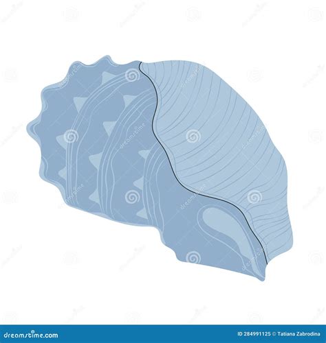 Sea Shell With Spikes Spiral Twirled Seashell Marine Mollusc Clam With Thorns Underwater