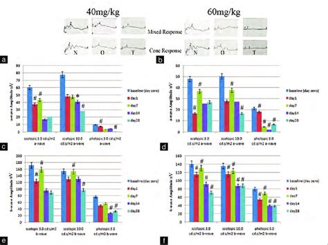 A And B Show Representative Electroretinogram Waveforms Of The Scotopic