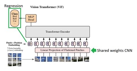 vit regression parallel cnn embedding vision pytorch forums