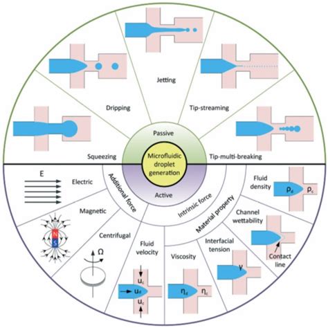 1 Helicase Dependent Amplification Hda Schematic Download Scientific Diagram
