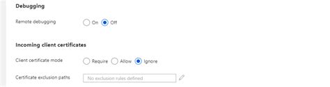 c azure function queue trigger function stops processing message