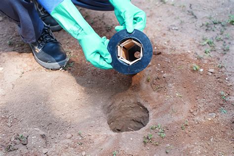 Innovative Termite Control Method Rentokil Pci