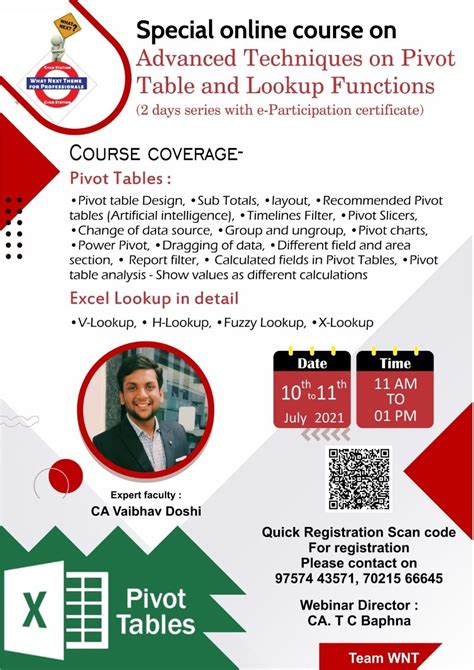 what next theme for professionals on linkedin special pivottable