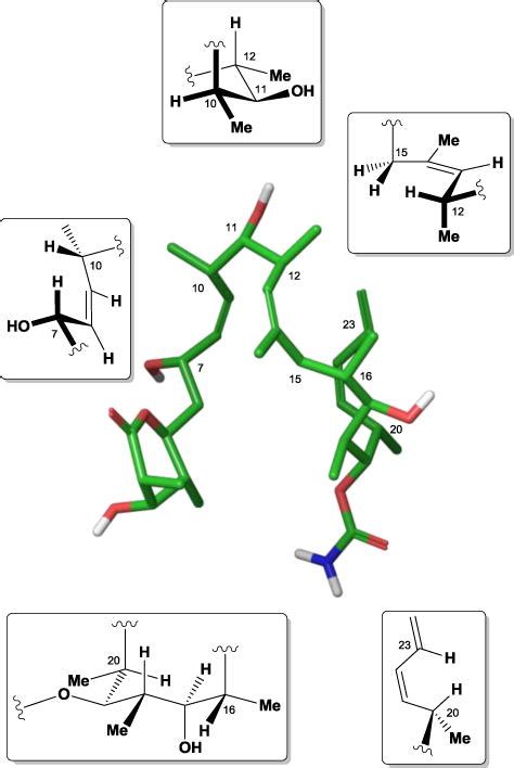 Conformation Activity Relationships Of Polyketide Natural Products Abstract Europe Pmc