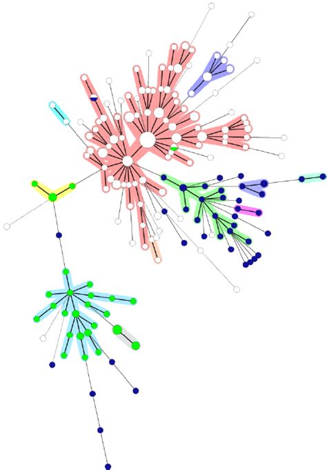minimum spanning tree analysis of 270 c difficile type 027 isolates by