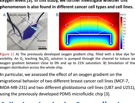 Figure 1 From A Microfluidic Oxygen Gradient Device To Assess Emt State