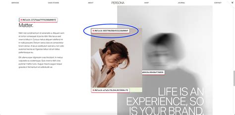How To Add Borders To Images With Css In Squarespace 71 Fluid Engine