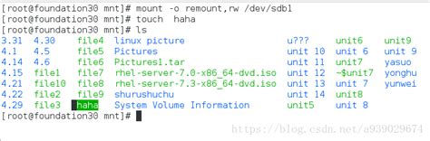 linux系统中设备的管理和硬盘盘分区管理 linux中vdb磁盘如何启用 csdn博客