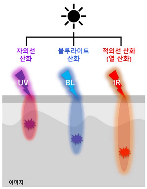 일본 리포트 시세이도 적외선이 피부에 악영향 미치는 메커니즘 규명