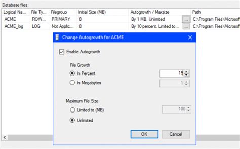 sizing the microsoft sql primary data mdf and transaction log ldf files