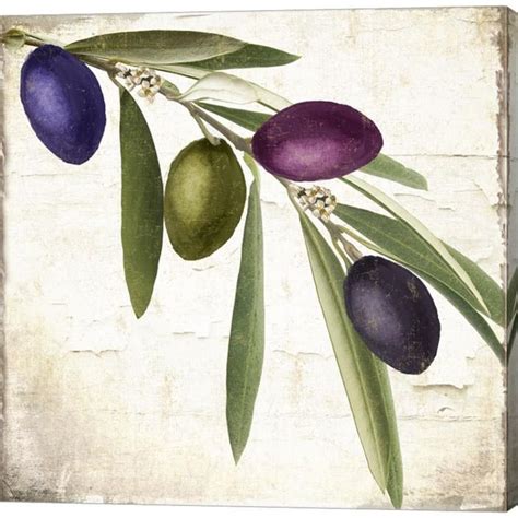 Metaverse Corporation Olive Branch Iv By Color Bakery Canvas Art 24w