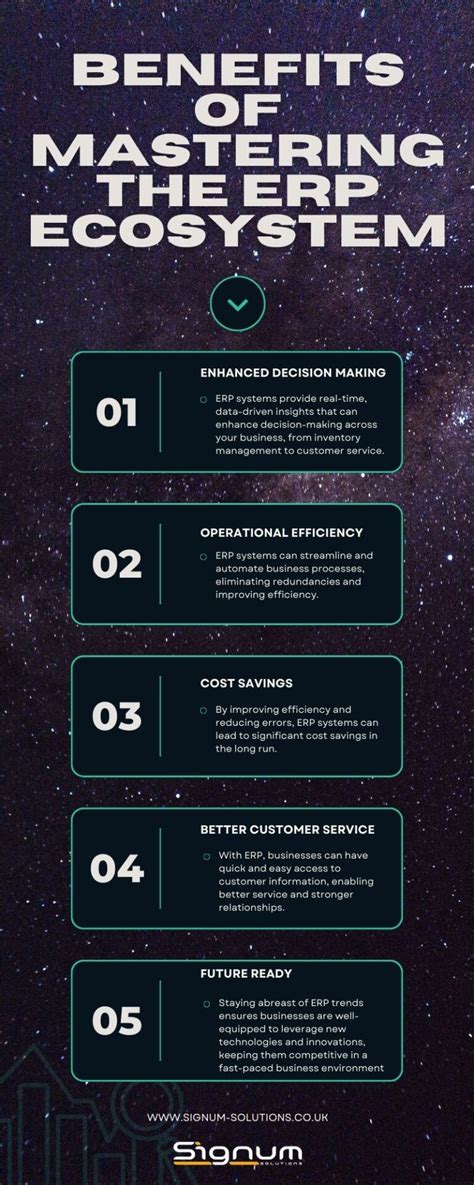 Mastering The Erp Software Ecosystem A Comprehensive Guide To Achieving Business Excellence