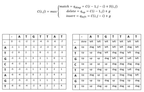 Needleman Wunsch Algorithm For Dna Sequence Alignment By Mithunjha