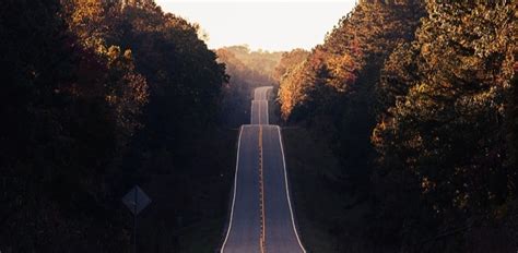 Retrieve Parameters And Query String Values From Url In Angular 8 Js