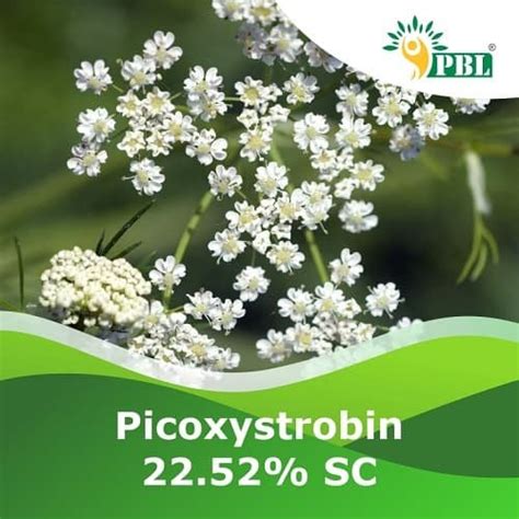 Picoxystrobin 2252 Sc Peptech Biosciences Ltd
