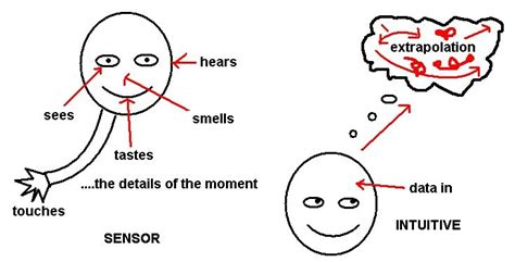 Ilmys • Sensing Vs Intuitive