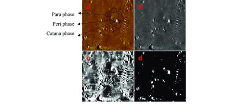 Image Processing Of Two Dimensional Image A Virgin B Grayscale C Download Scientific