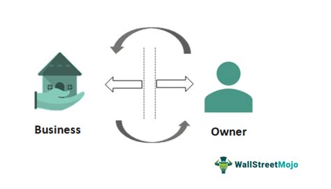 Business Entity Concept Definition Example How It Works