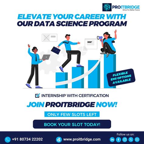 proitbridge on linkedin datascience mentorship struggle
