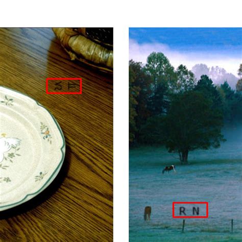 Examples Of Visual Stimuli In A Dataset 1 And B Dataset 2 Inserted