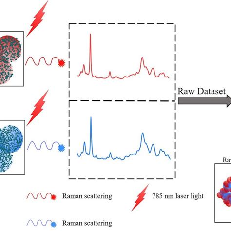 General Workflow Of Deep Learning Based Spectral Data Analysis For The
