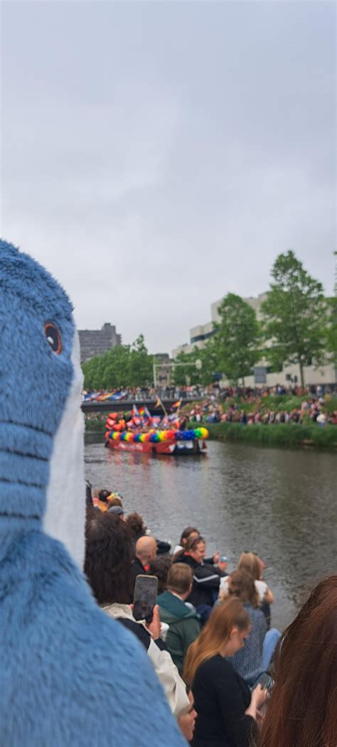 Blahaj enjoying Utrecht Pride : r/BLAHAJ