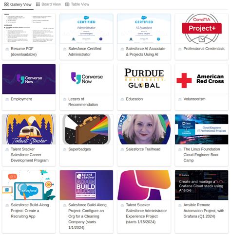 Elevate Your Salesforce Portfolio With Notionso A Professionals