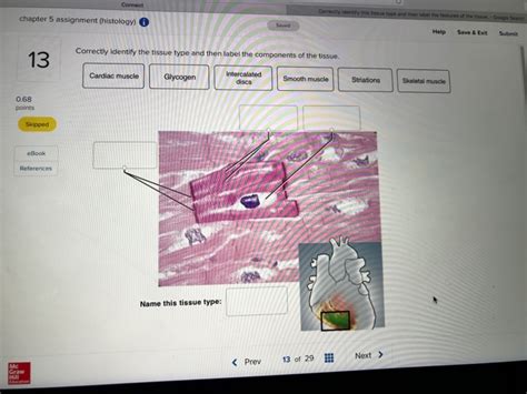 solved assignment histology saved correctly identify th