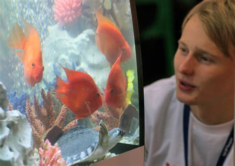 Зачем хозяйки поливают комнатные растения аквариумной водой