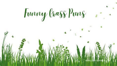 80 Funny Grass Puns Jokes Garage