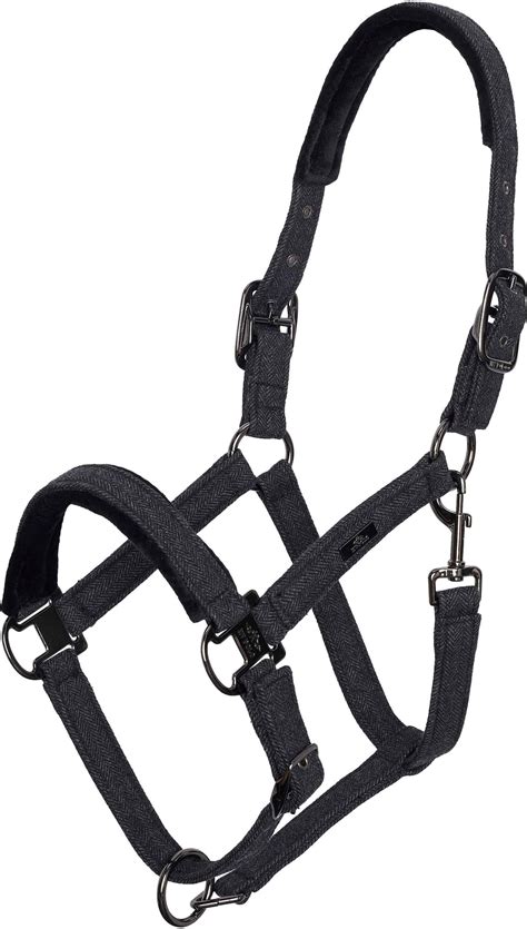 Hv Polo Halfter Hvpfrancis Black Equusvitalis Onlineshop