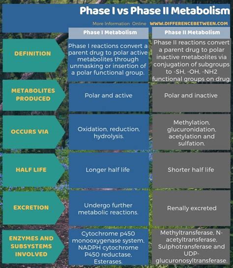 Single Phase Vs Three Phase The Difference Explained EMS