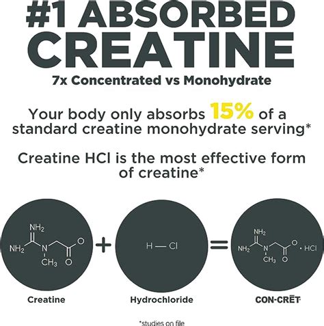Creatine Gummies Vs Powder Which Is Best For You Con CrĒt