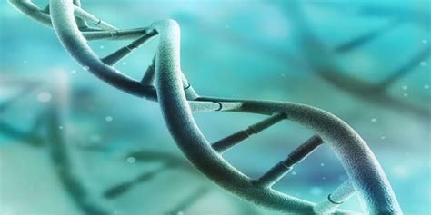 Genome Sequencing Bioinformatics II Course