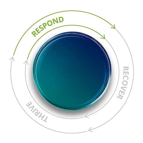 Develop Real Time Sensing Red Flag Reporting Dashboard Deloitte Global