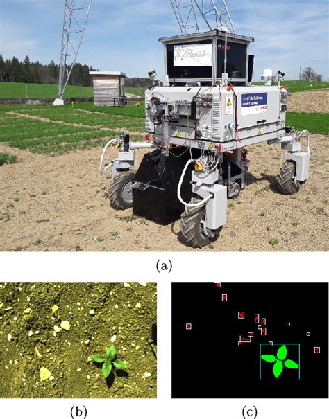 Figure 1 From Crop And Weed Classi Cid 28 Cation Using Pixel Wise Segmentation On Ground And