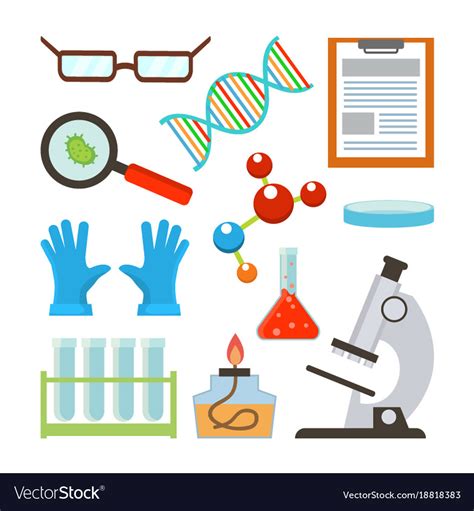 Laboratory Equipment Set Science Royalty Free Vector Image