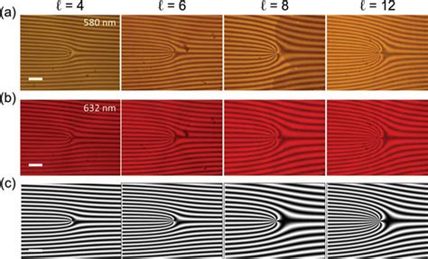 Figure Experimental Interferograms Of The Sample At Different