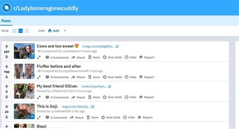 The 13 Weirdest Subreddits On Reddit The Frisky